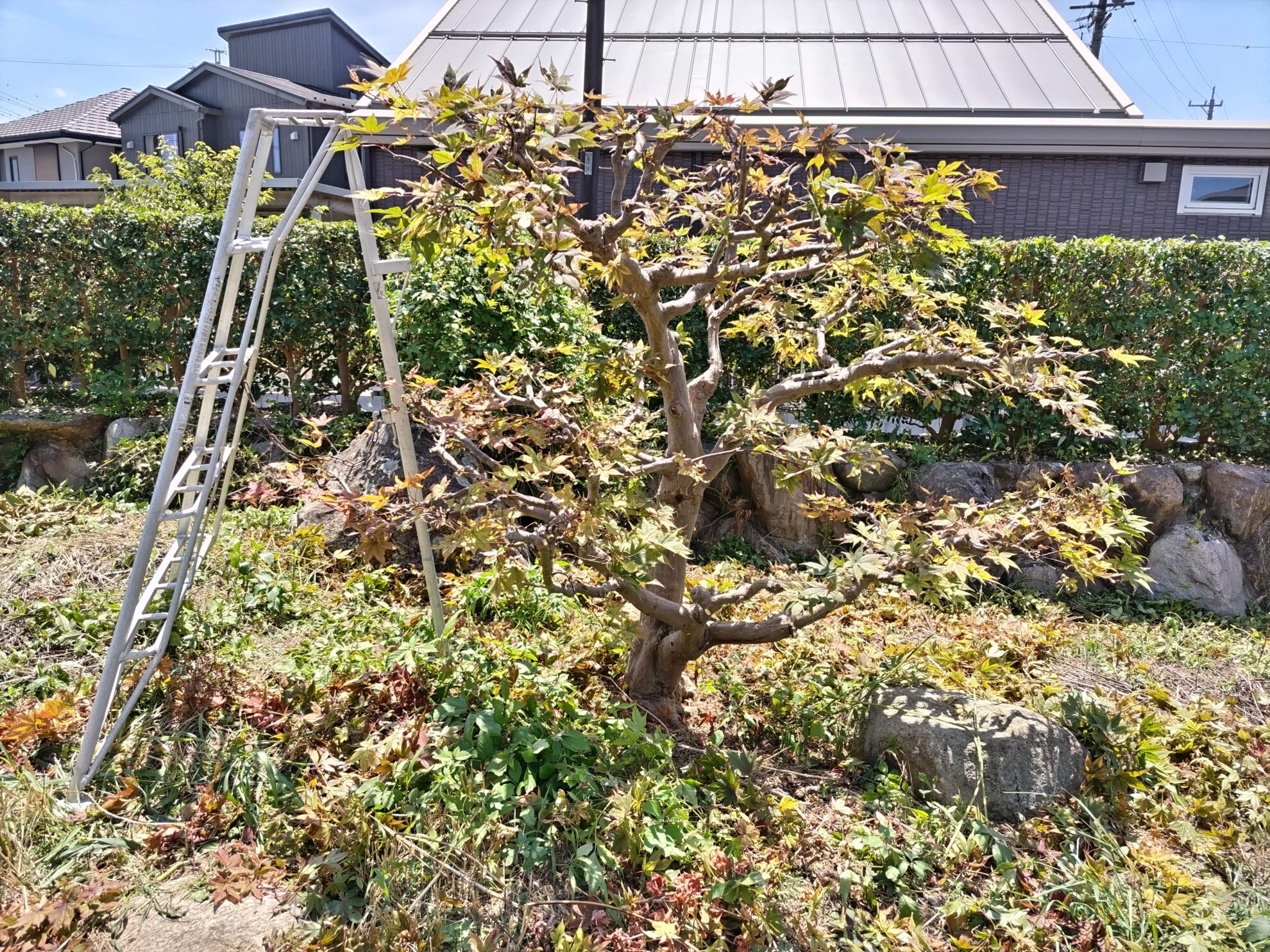 GoronyanのDTMマインド～音楽と日常のこと – 一緒に音楽を楽しみましょう！