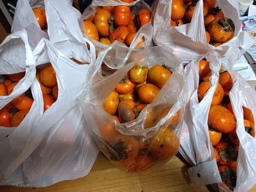 柿の実多量取得、会社の車バッテリー交換で、首の皮一枚、持ちこたえ – GoronyanのDTMマインド～音楽と日常のこと